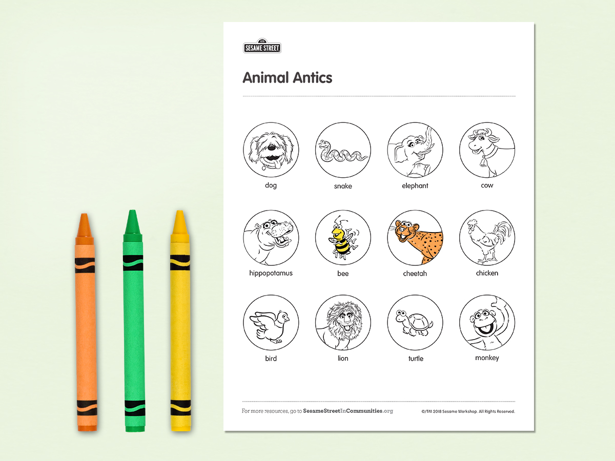 Animal Antics - Sesame Workshop