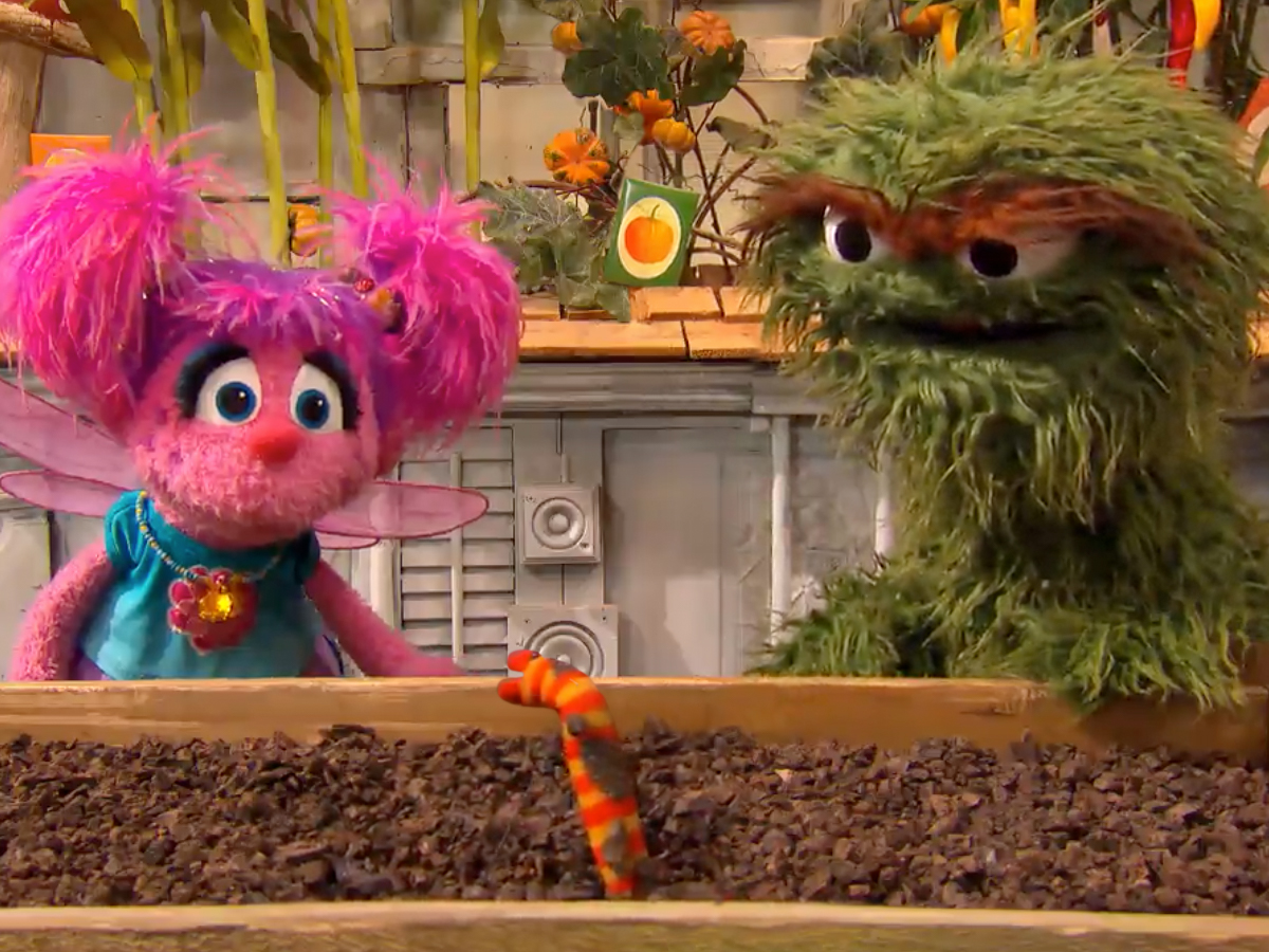 Good Neighbors Care for the Earth - Sesame Workshop
