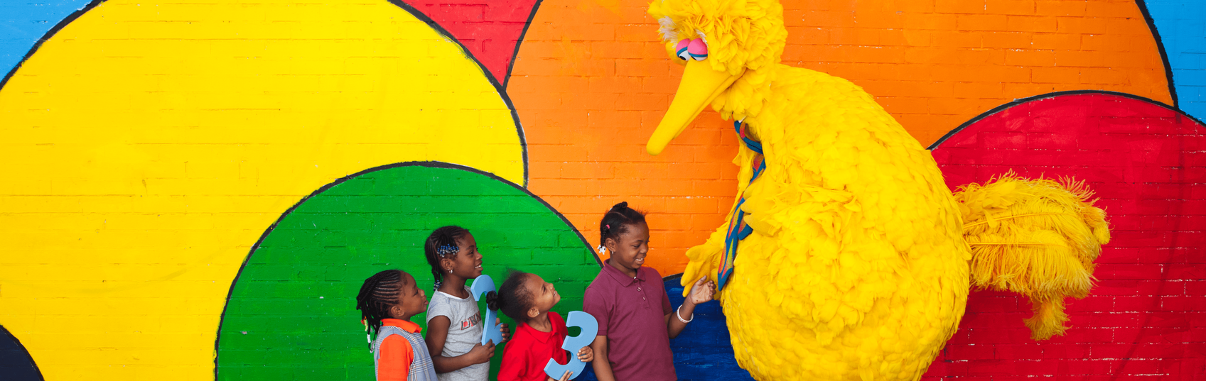Big Bird Face Cut Out