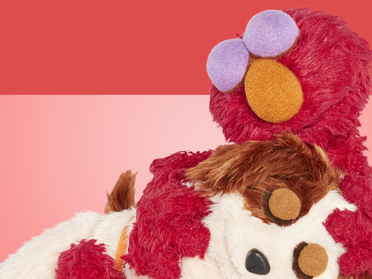 Transición: El descanso y la siesta - Sesame Workshop