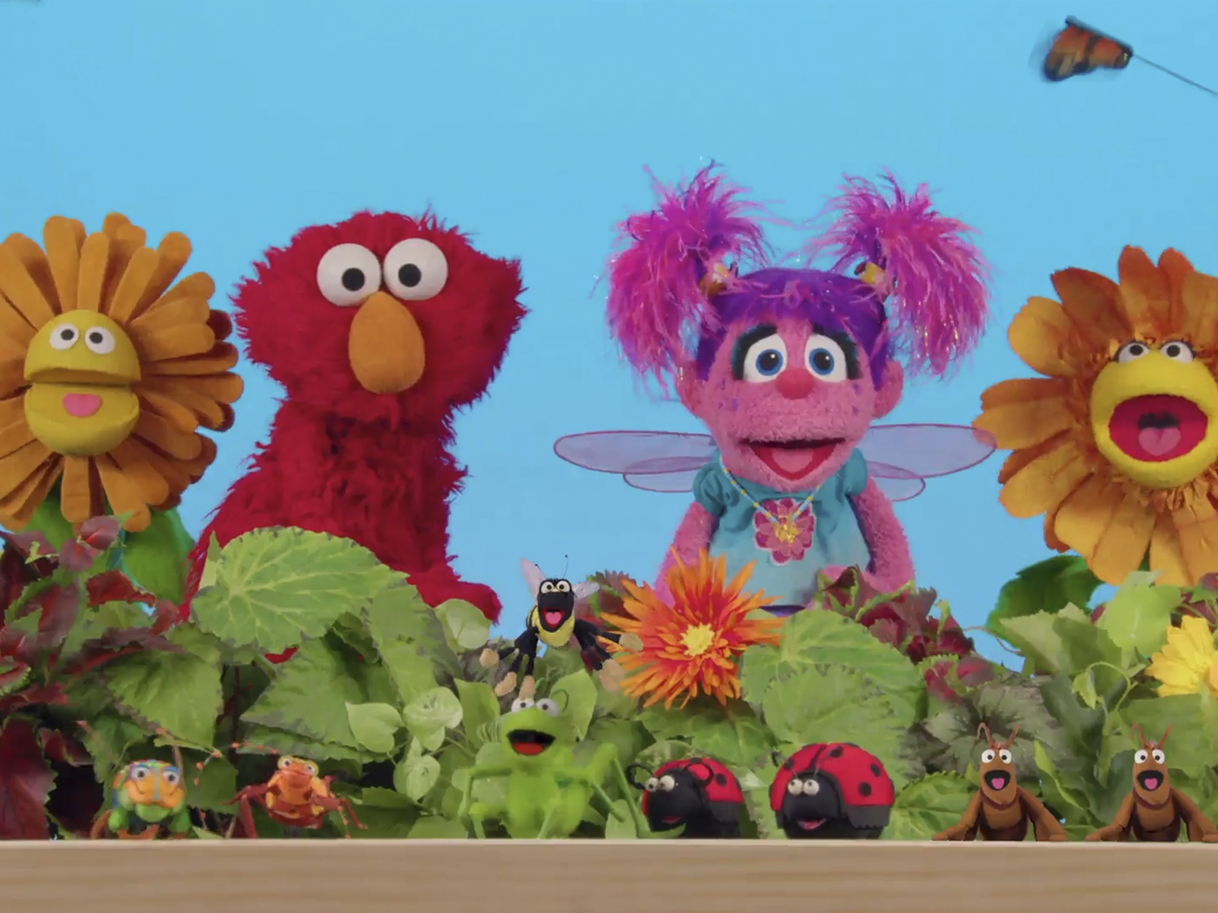 Sesame Street Night Bug Boogie