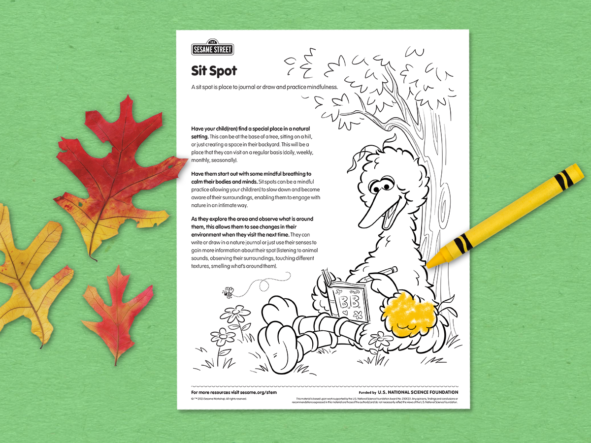 Sit Spot - Sesame Workshop